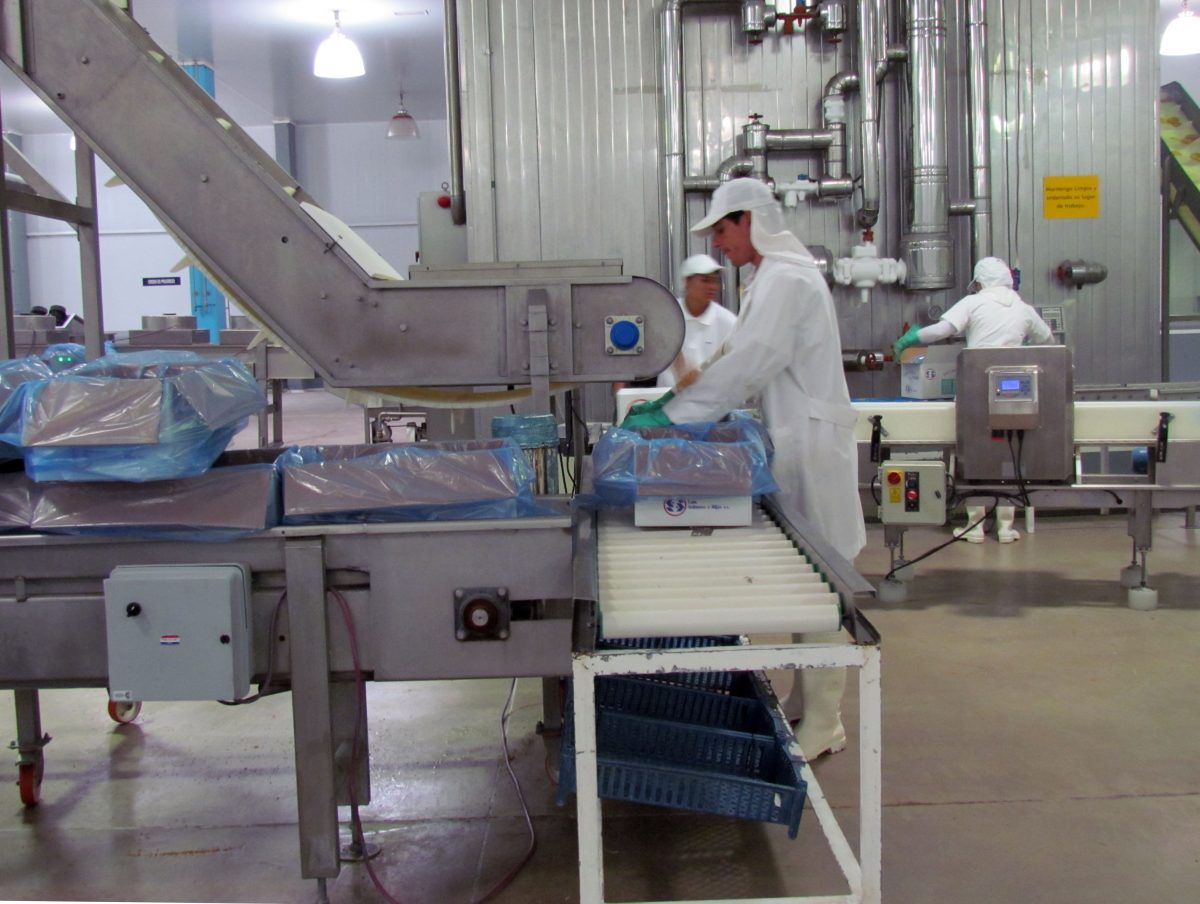Productos pesqueros argentinos sostienen su presencia en más de cien ...