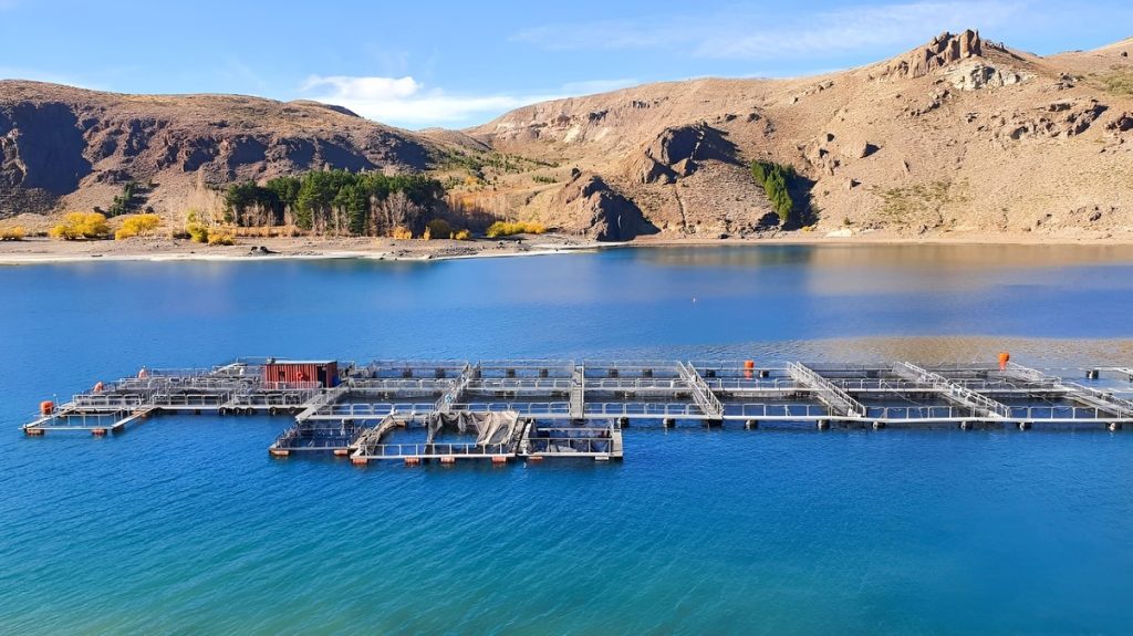 30 de Noviembre. Día Mundial de la Acuicultura – Pescare